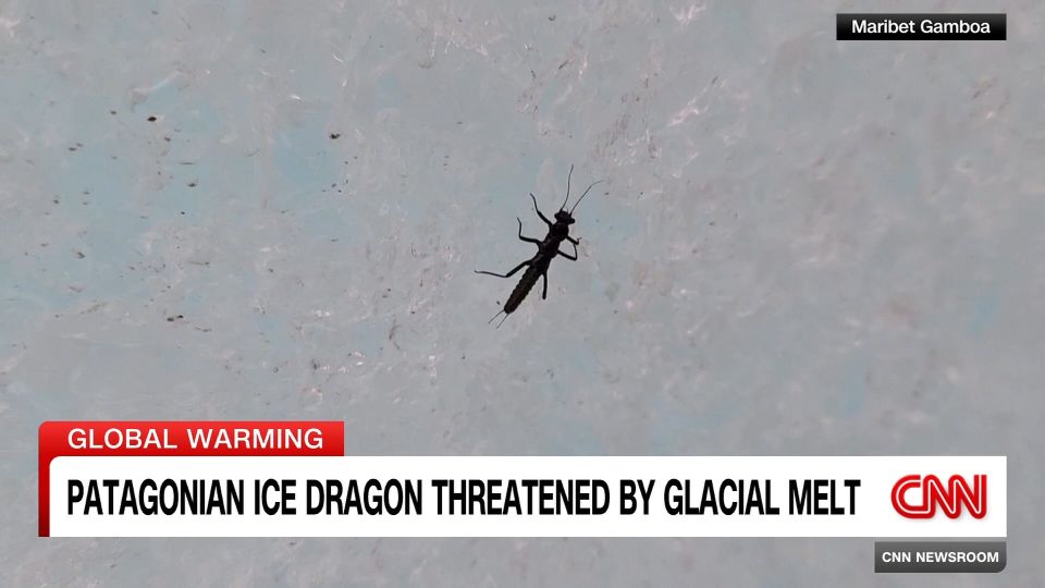 Patagonian Ice Dragon threatened by glacial melt