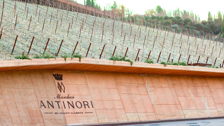 14 Bucket List Cities In Italy For Wine Tasting