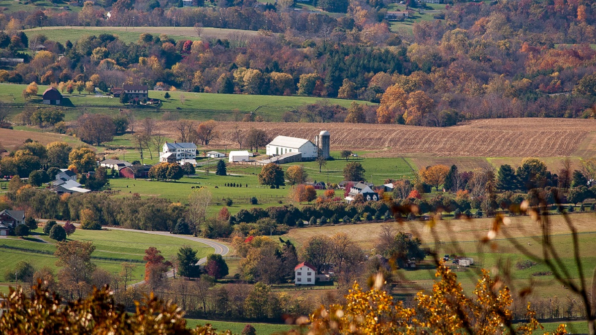Rural Maryland Gen Z See Few Job Prospects, Study Says