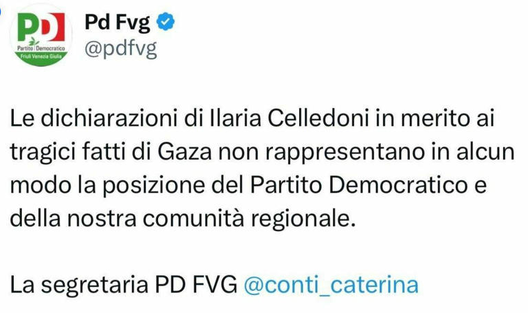 Ilaria Celledoni, l'avvocata rimossa da portavoce delle donne del Pd ...