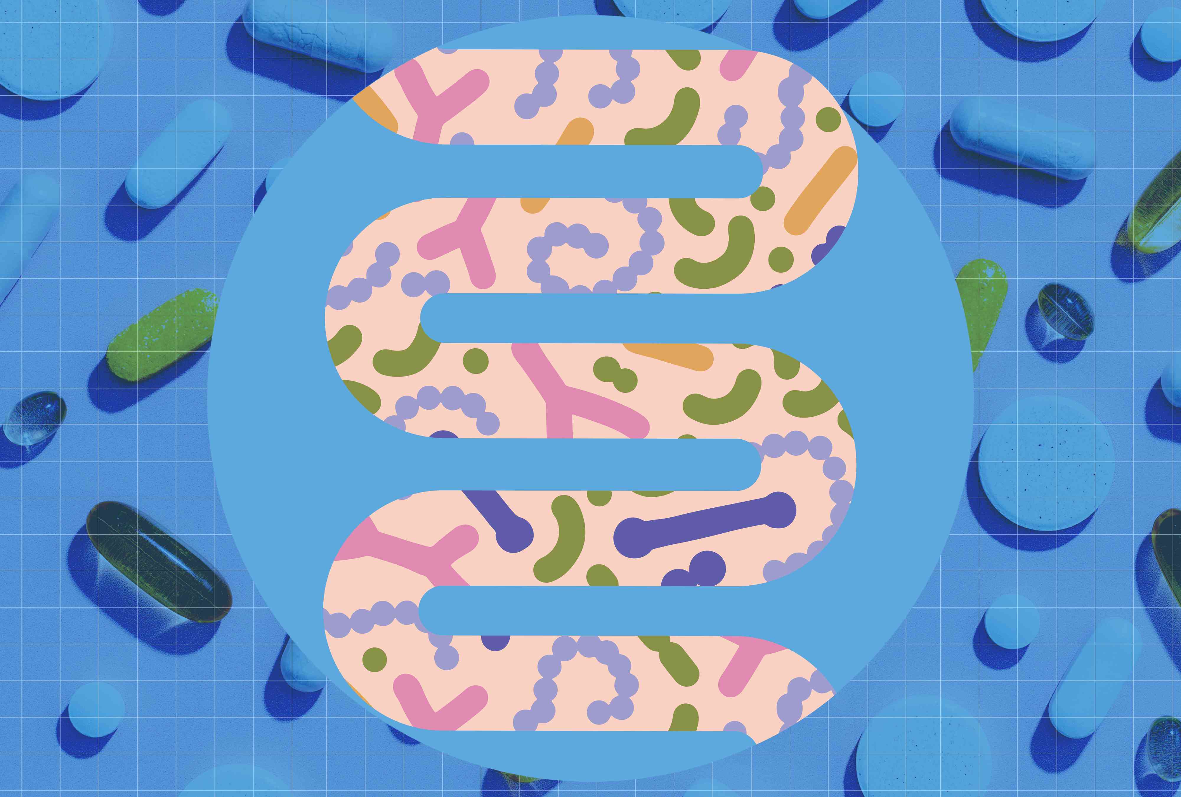 6 Supplements You Should Take for Better Gut Health, According to ...