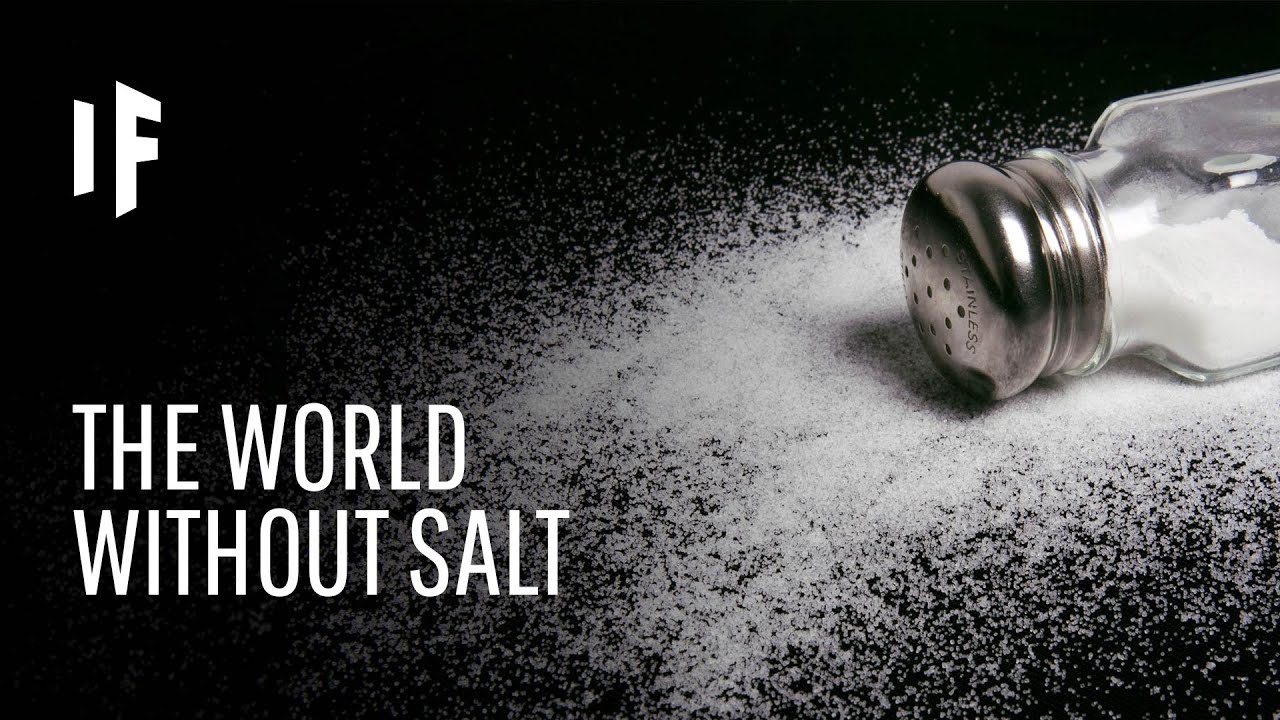 What if there was no salt in the world and food drastically changed?
