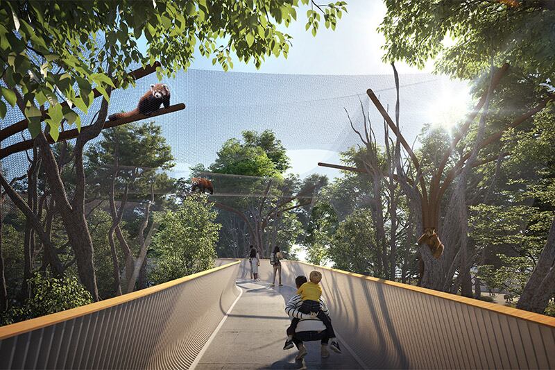 New immersive exhibit is coming to Woodland Park Zoo