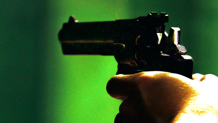 Mobile plans town hall meeting about gun violence