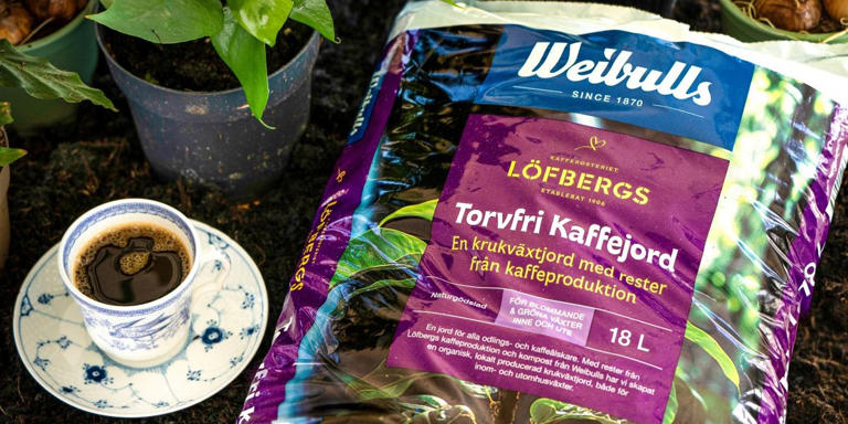 Innovationen: Nu ska vi odla i kaffesump