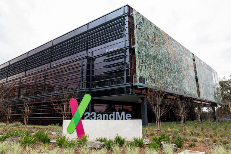 From $6 billion unicorn to bankrupt cautionary tale: The story of 23andMe