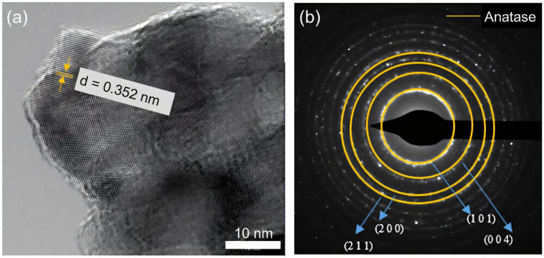 3D nanotech blankets offer new path to clean drinking water