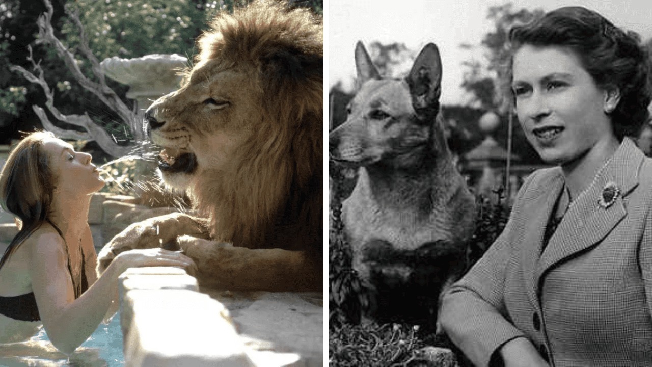 20 Photos of Famous People and Their Pets