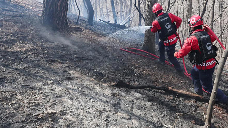 IPO-Bound Della Group To Establish 1000 Luxury Residences Across Key Cities