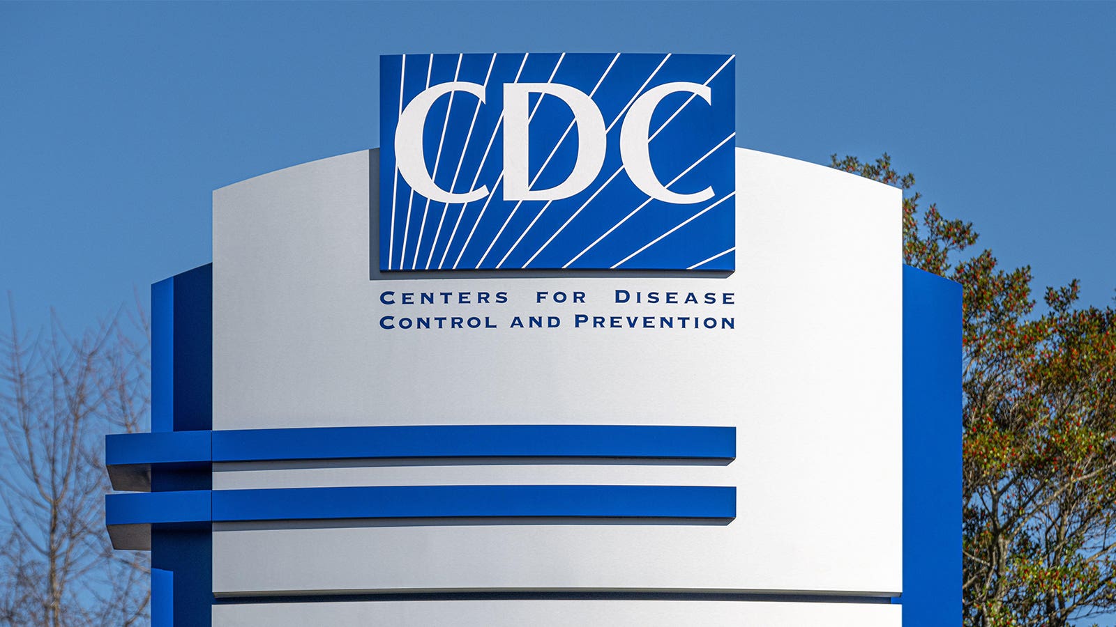 Current, Former CDC Staff Warn Against Slashing Support for Local ...