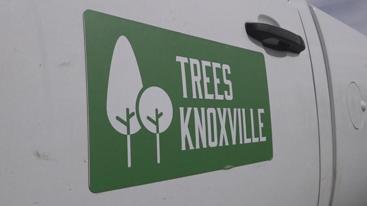 Multiple groups partnering with KAT to plant trees at Knoxville bus ... Multiple groups partnering with KAT to plant trees at Knoxville bus ...