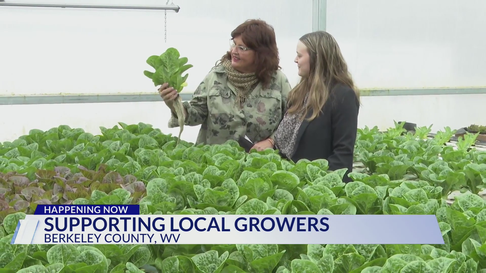 Berkeley County Meals on Wheels partners with local grower to deliver ...