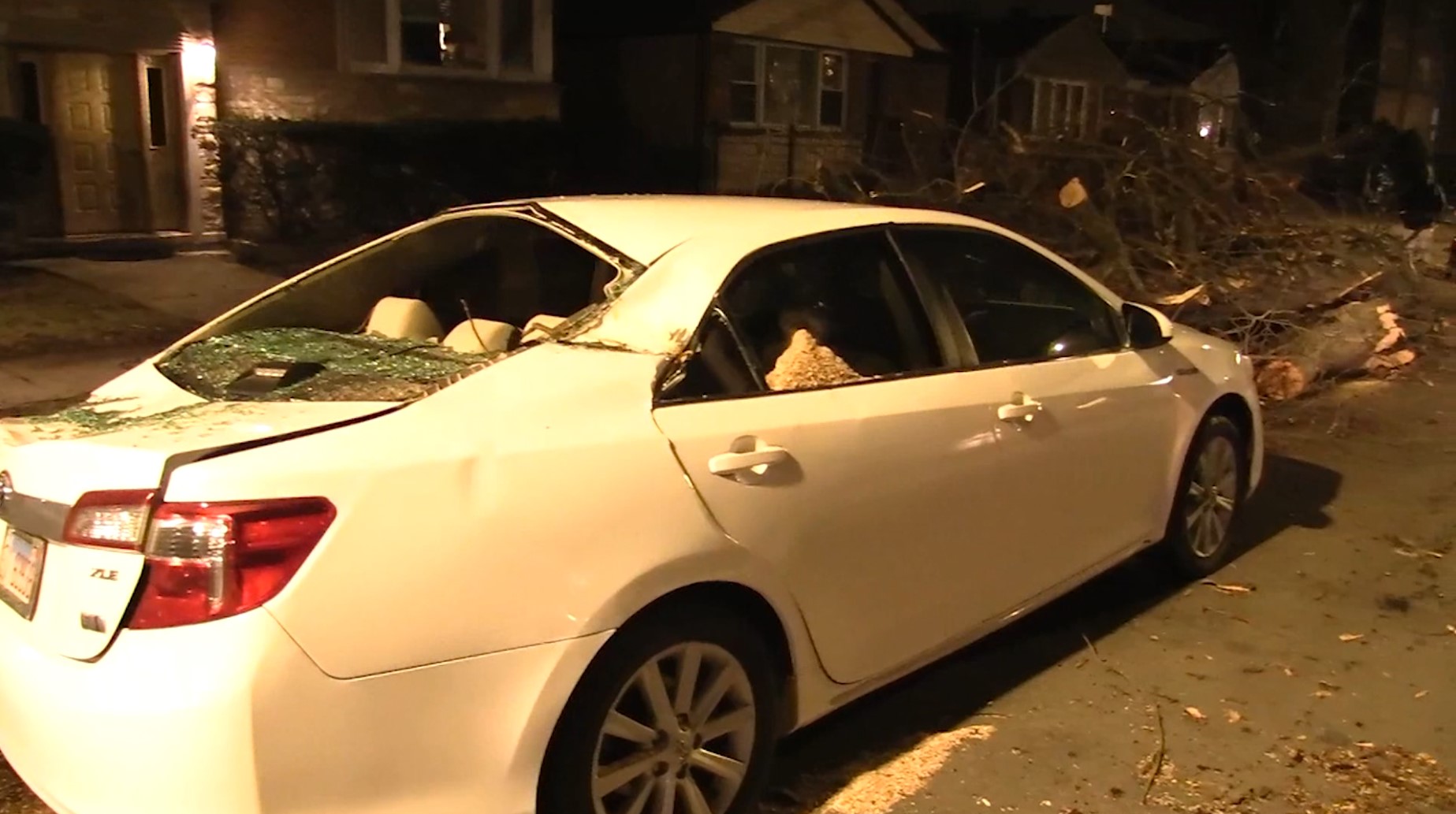 High winds down tree limbs, shatter windows — WGN Evening News