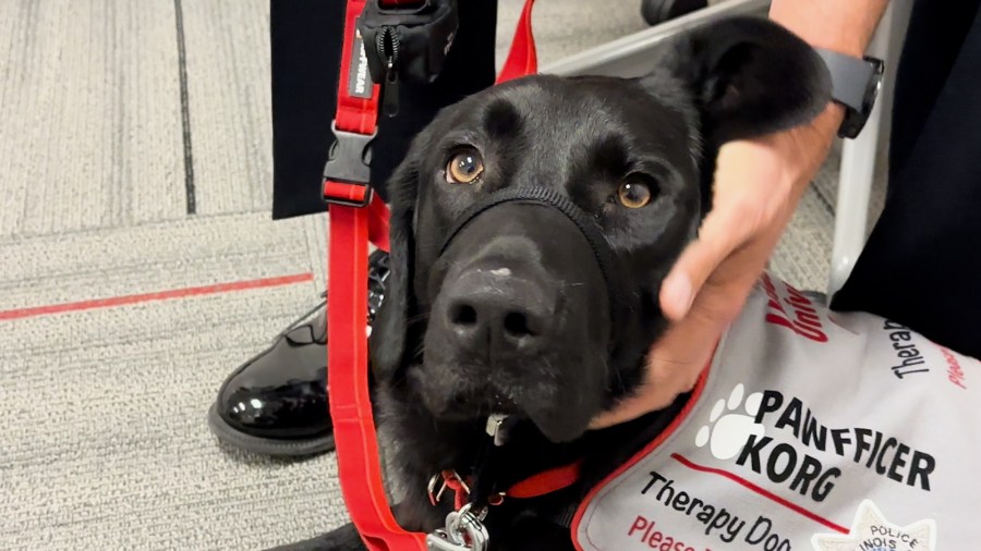 Illinois State University police introduce new therapy dog