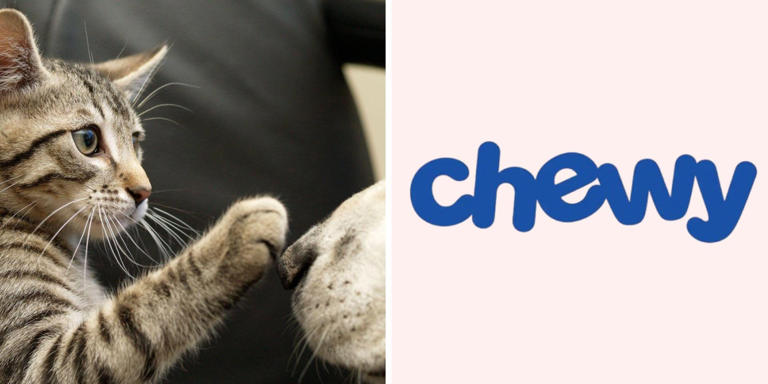 Best Chewy promo codes in April 2025: Free gift cards and discounts