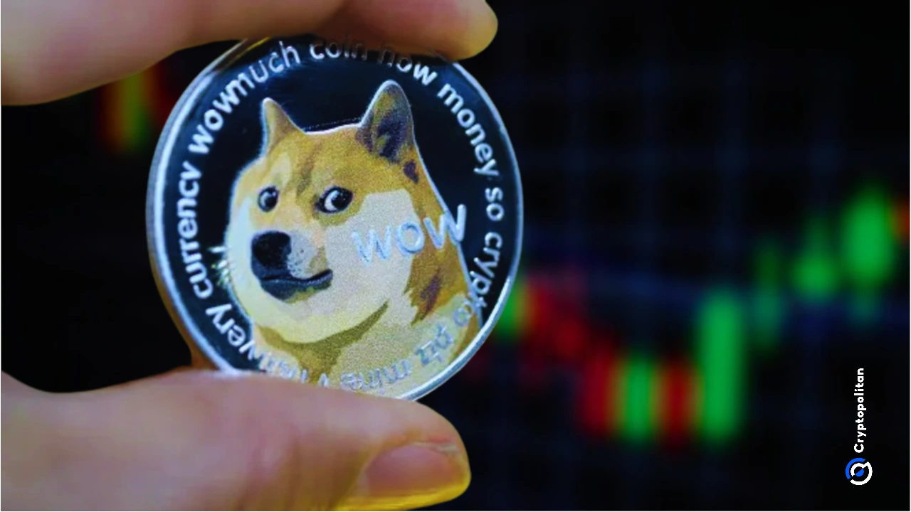 Dogecoin Foundation’s corporate arm forms 10m DOGE reserve to support ...