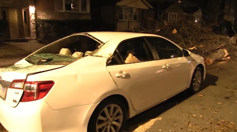 Photos: High winds bring down tree limbs, shatter vehicle windows