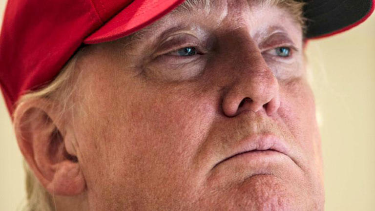 Makulis rosa, los árboles en Yucatán que no le piden nada a los cerezos ...