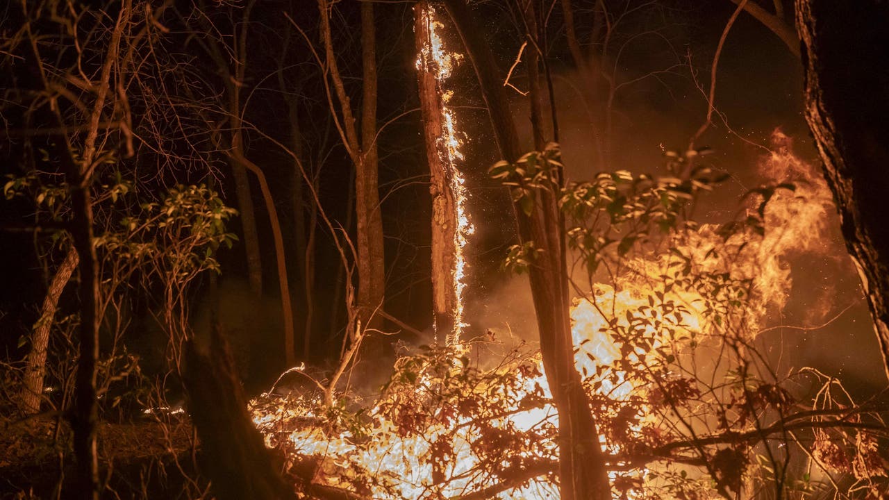 Heightened wildfire risk this week: Georgia officials warn against ...