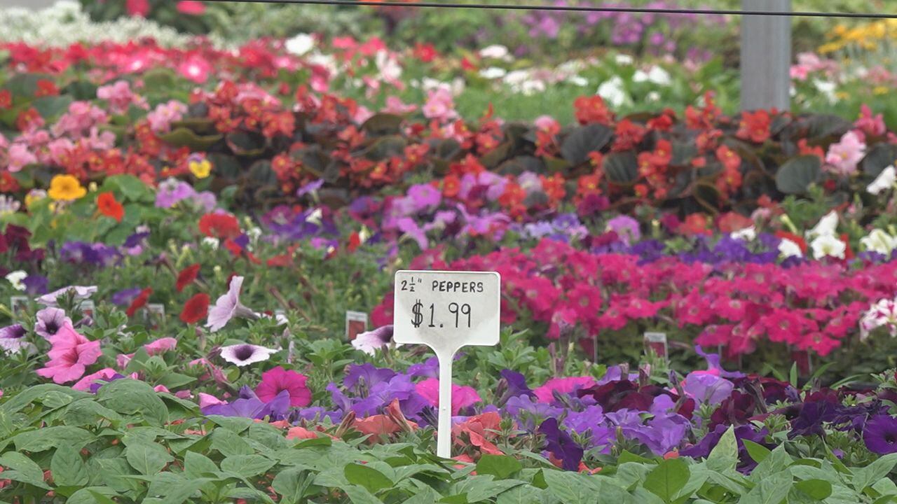 Springing into spring garden prep; is it too soon?