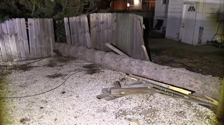 Photos: High winds bring down tree limbs, shatter vehicle windows