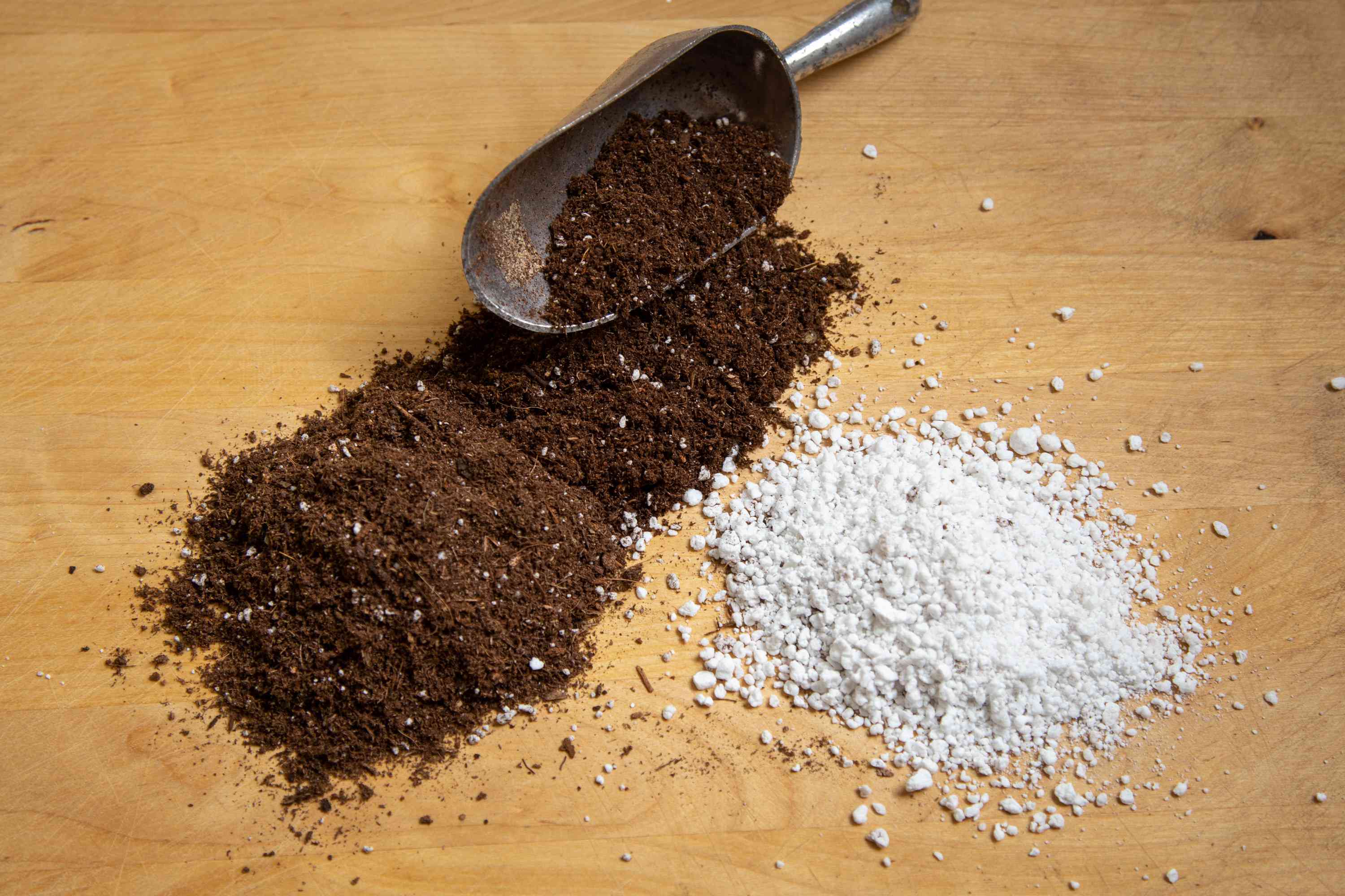 What the Heck Is Perlite? How This Rock Can Save Your Plants From Root Rot