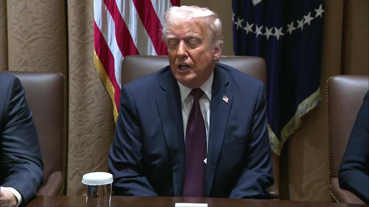 Trump thanks Elon at cabinet meeting