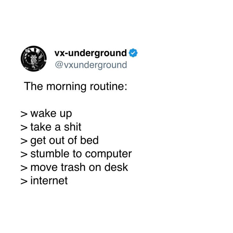 27 Funniest Tweets Roasting This Influencer's Ridiculous Viral 4 AM ...