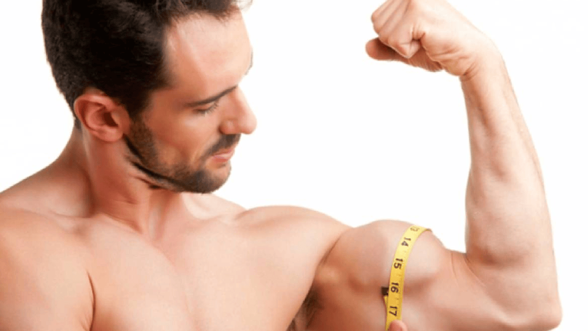 How Long Does It Take to See Muscle Building Results?