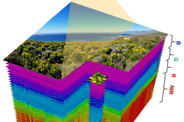 NASA scientists are clocking wildflower blooms to understand our ever ...