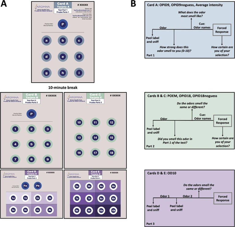An at-home smell test could pave the way for early detection of ...
