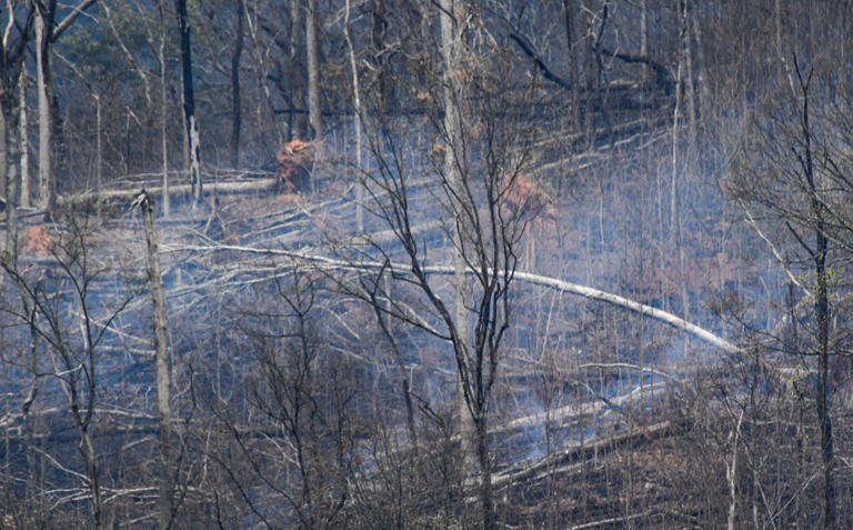 Crews battle wildfires at Table Rock, Persimmon Ridge: Voluntary ...