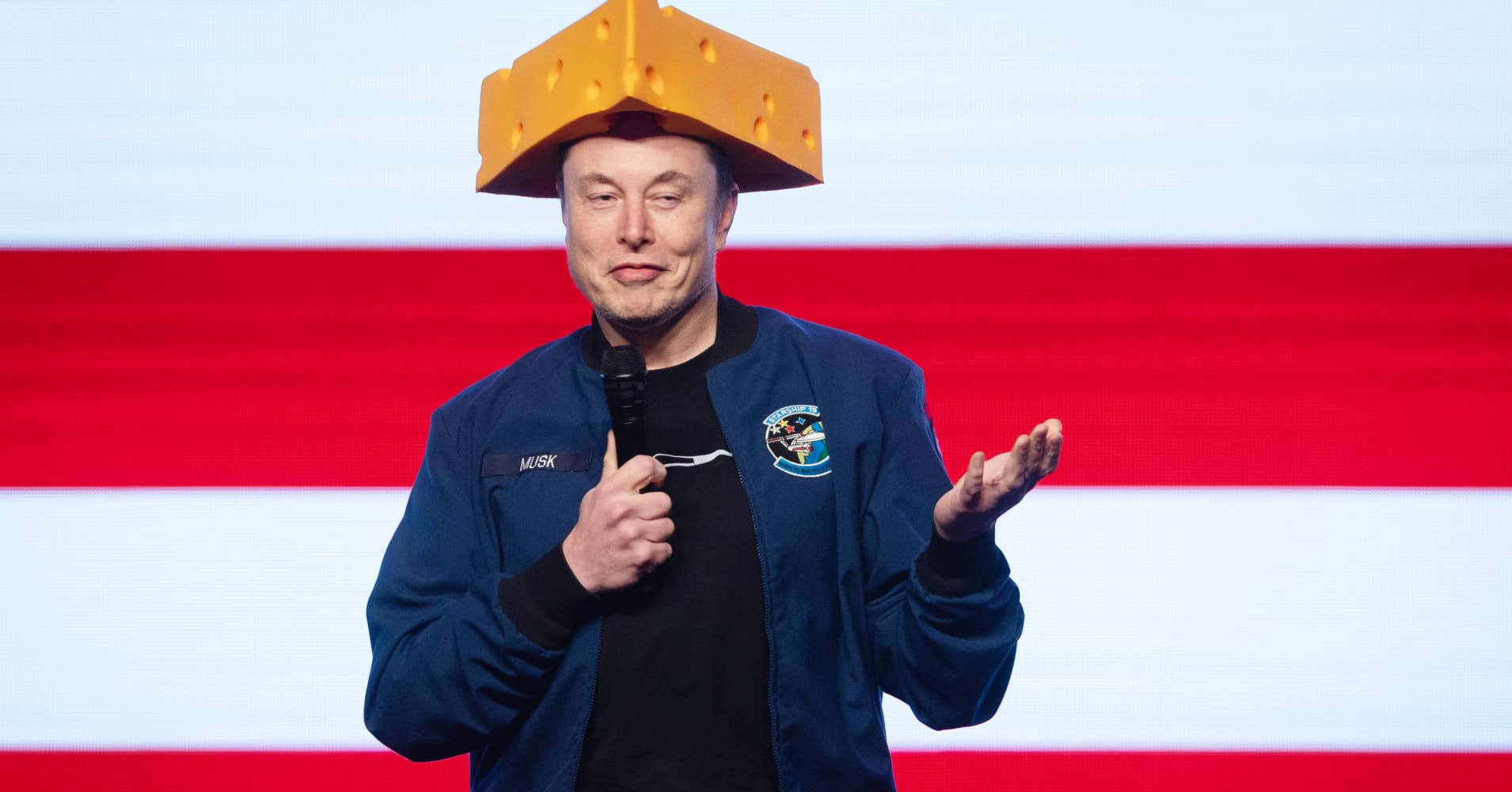 Elon Musk says backlash against his DOGE government cuts is hurting ...