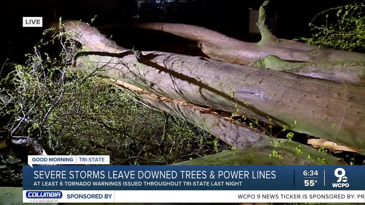 Severe storms leave downed trees and power lines
