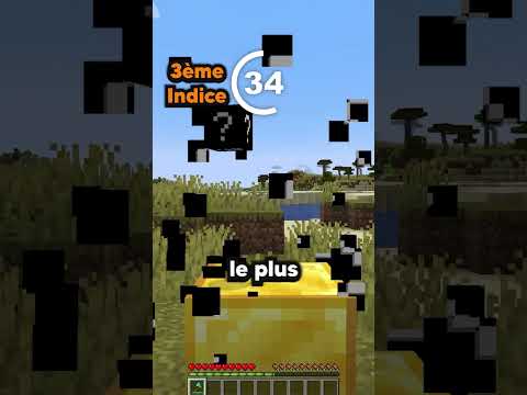 Devines le BLOC Minecraft en 60 Secondes ! 2