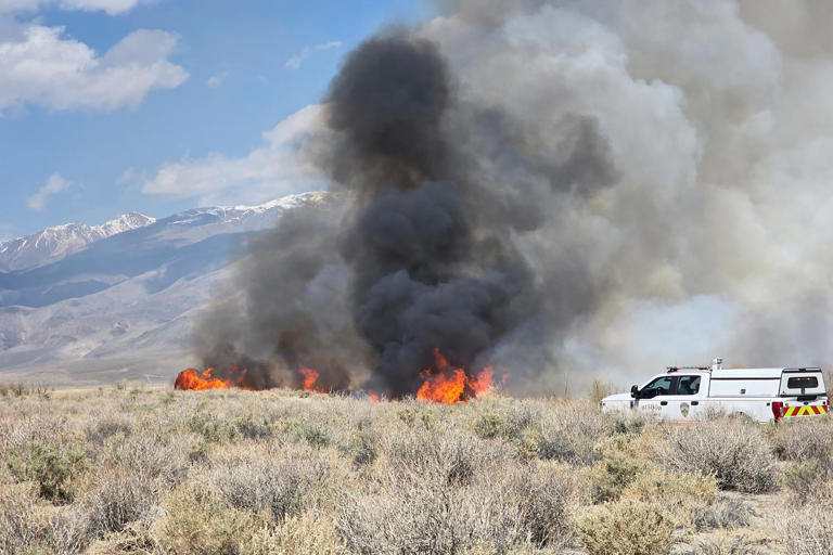 Silver Fire breaks out in central California and explodes to 1,000 ...