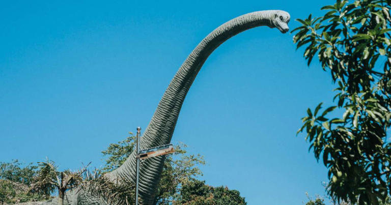 Congo Report Increased Sightings of the ‘Dinosaur Who Stops Rivers ...