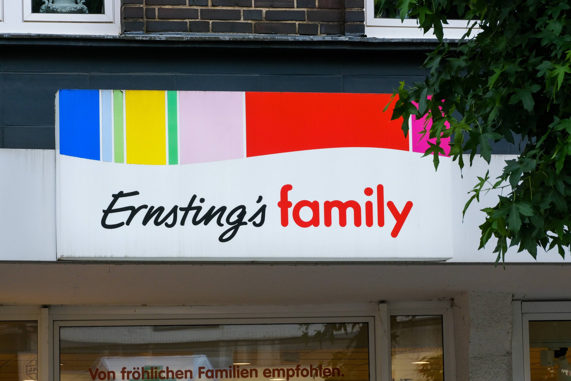 Wunderschöne Deko: Die kunstvolle Papier-Tulpe von Ernsting's family ...