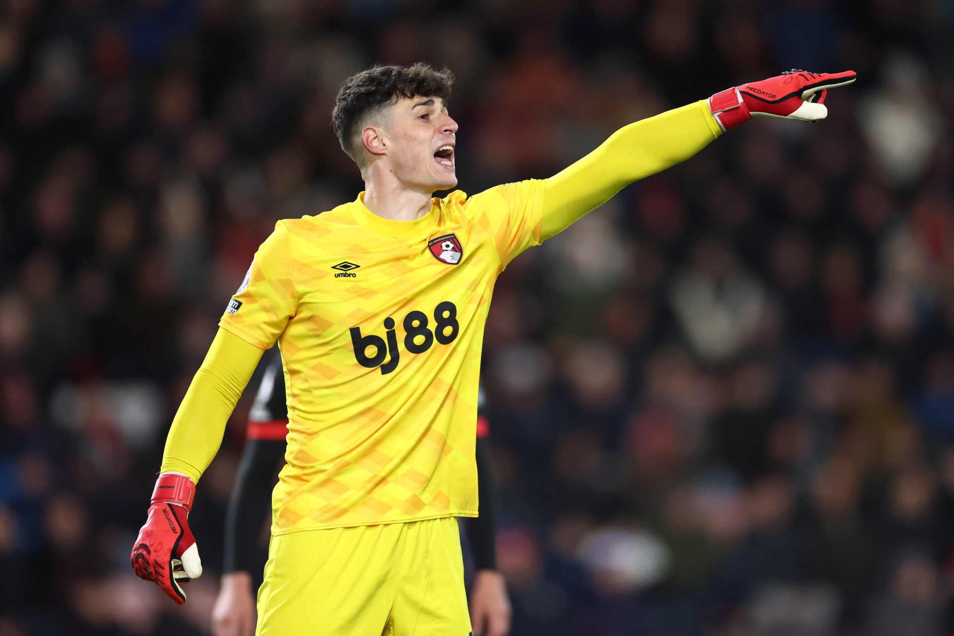 Bournemouth's stance on signing Kepa Arrizabalaga after Chelsea star's ...