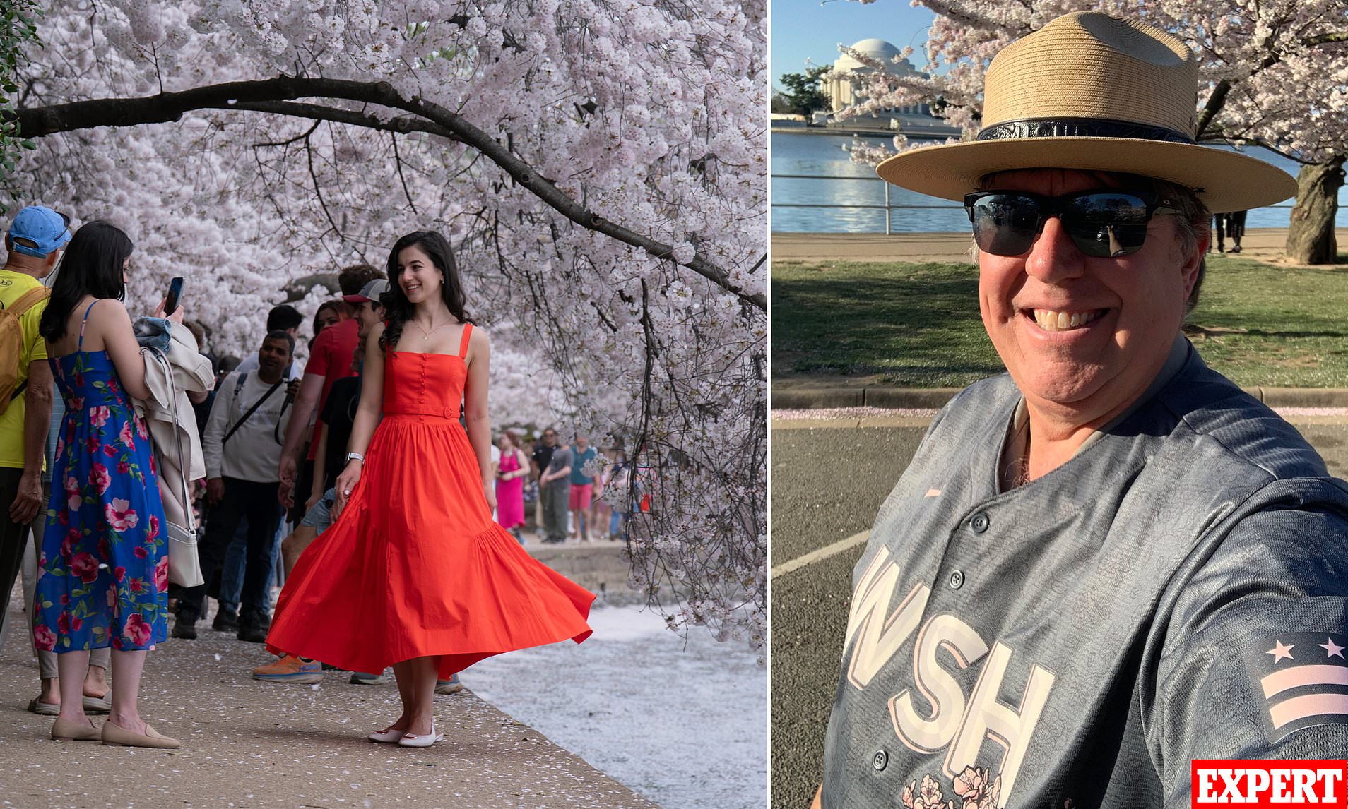 Cherry blossom tourists warned minor act could land you in jail