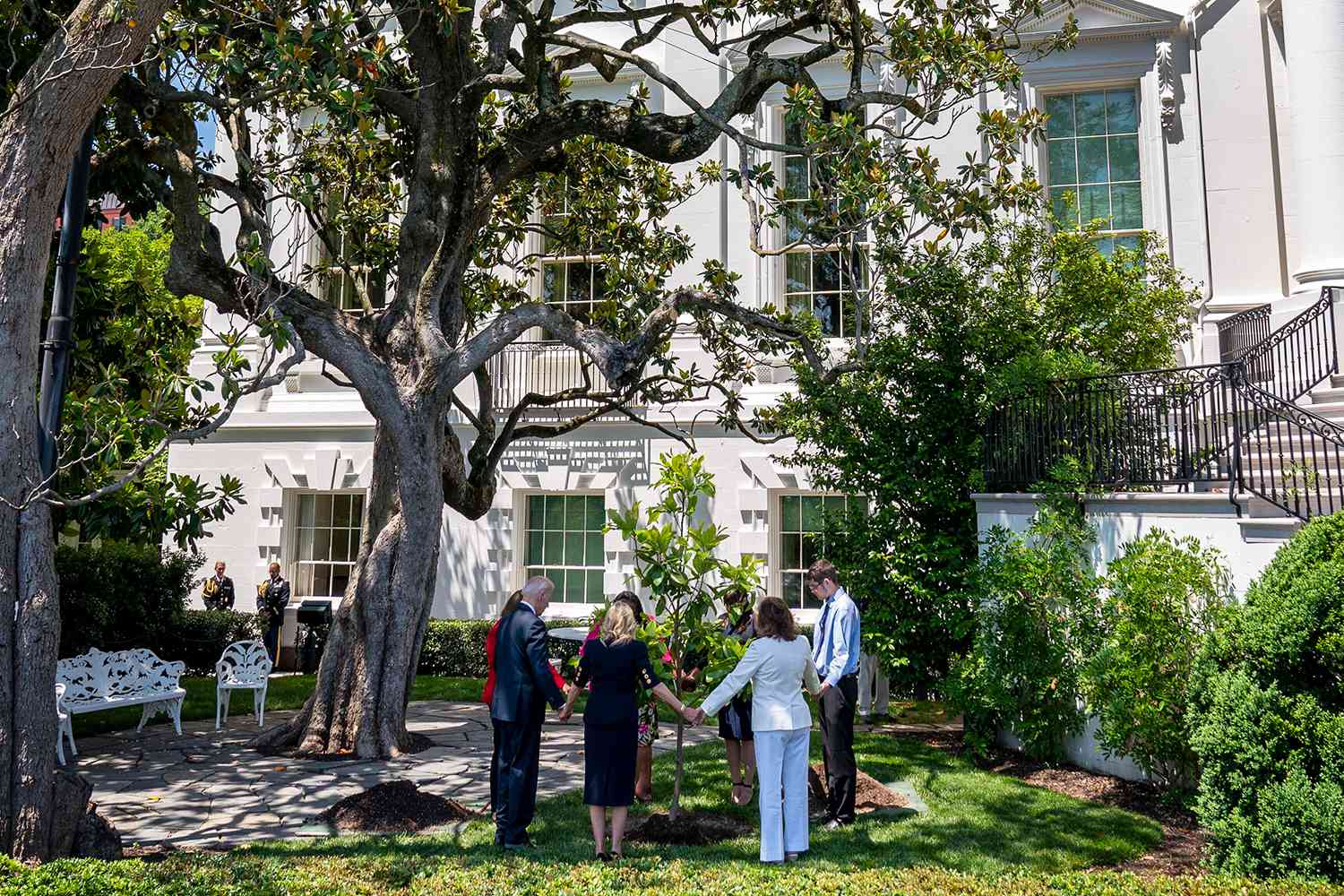 Trump Calls to Chop Down Historic White House Magnolia Tree Apparently ...