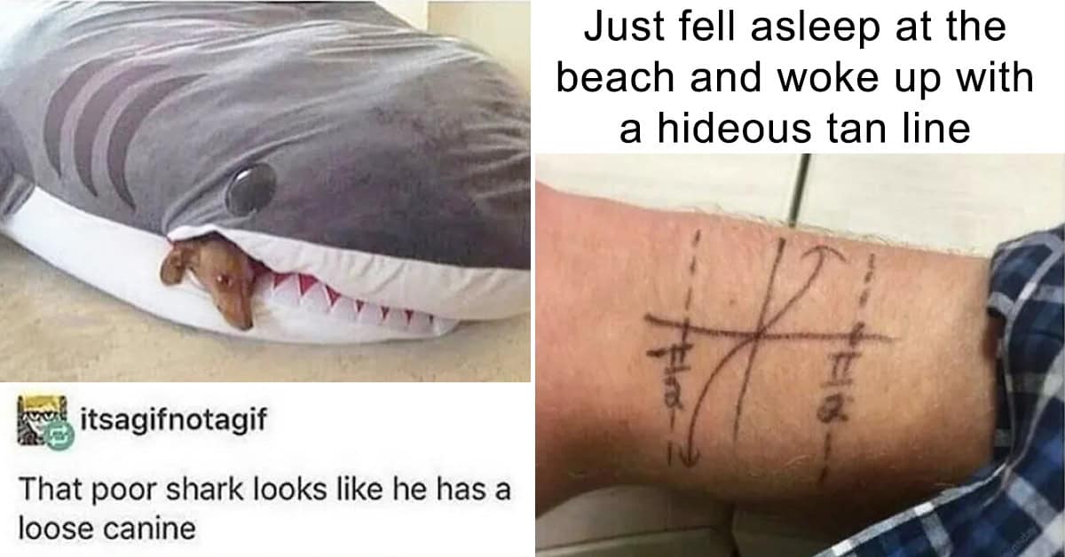 “Monday Punday”: 40 Funny Pun Memes To Start Your Week With A Groan ...