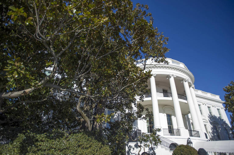 USA: Donald Trump will historischen Baum am Weißen Haus fällen lassen