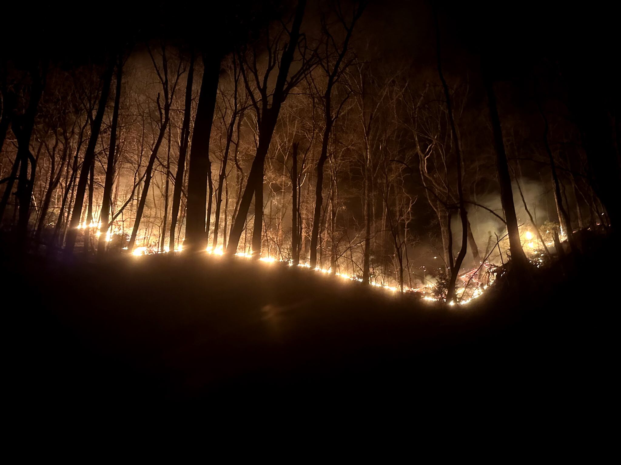 Forestry officials lift burn ban in 41 SC counties