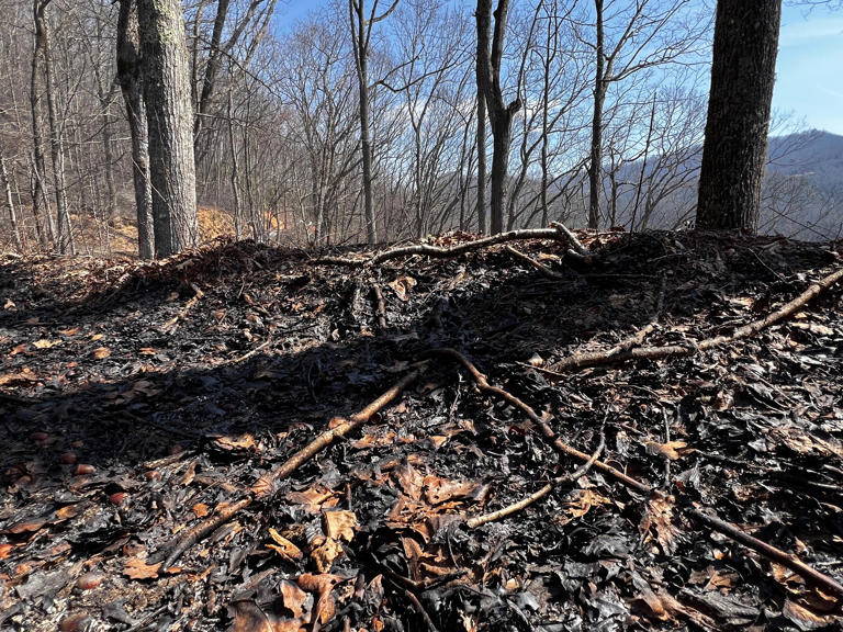 Western NC wildfires map: See the latest with our interactive map