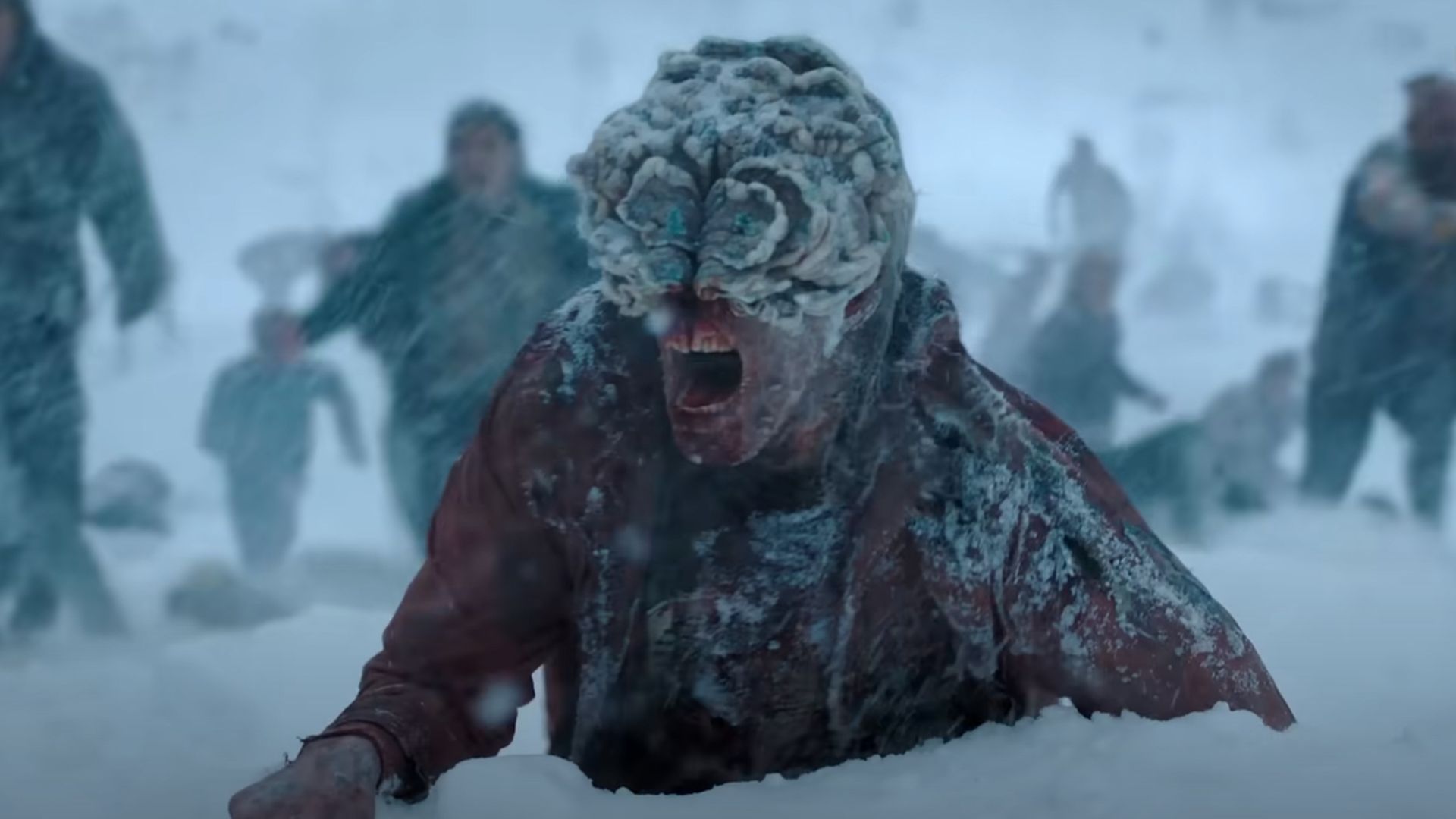 All the different types of 'The Last of Us' zombies you'll meet in season 2