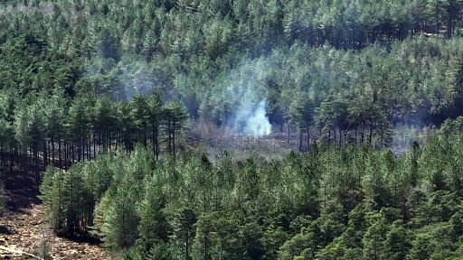 Fire at Moors Valley Country Park 31st March 2025 – video ...