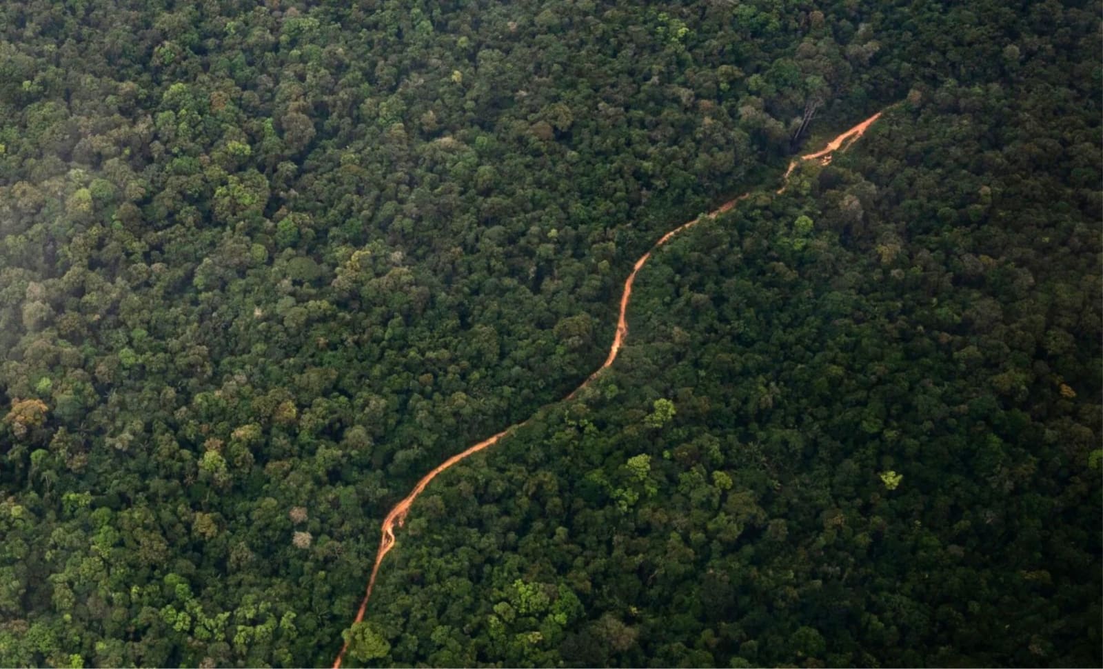 The U.S. Sets Sights on 11 Billion-Barrel Oil Find Beneath Tiny ...