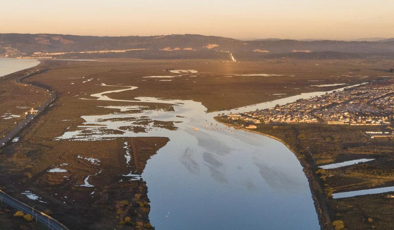 El plan para proteger a Concepción de tsunamis e inundaciones restaurando uno de los humedales ...