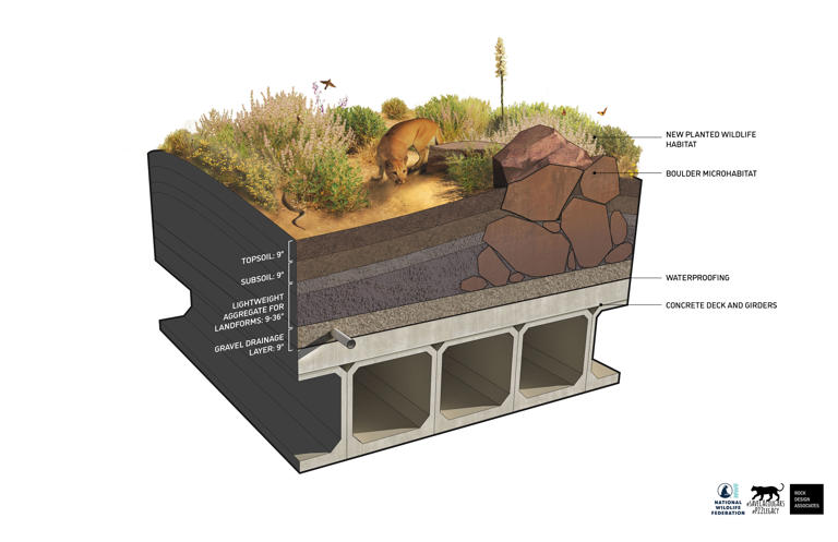 See new 101 Freeway wildlife crossing renderings as project reaches ...
